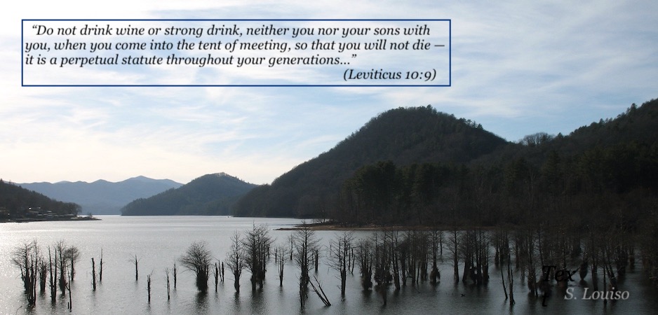 A Life of Purity is a Lifelong Calling - Writing Down Life